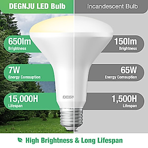 DEGNJU 12 Pack BR30 LED Recessed Light Bulb, Dimmable Indoor Flood Light Bulbs CRI80 7W Equivalent 65W 2700K Soft White 650 Lumens, 15000 Lifetime Hours E26 Base LED Can Light Bulb, Flicker-Free