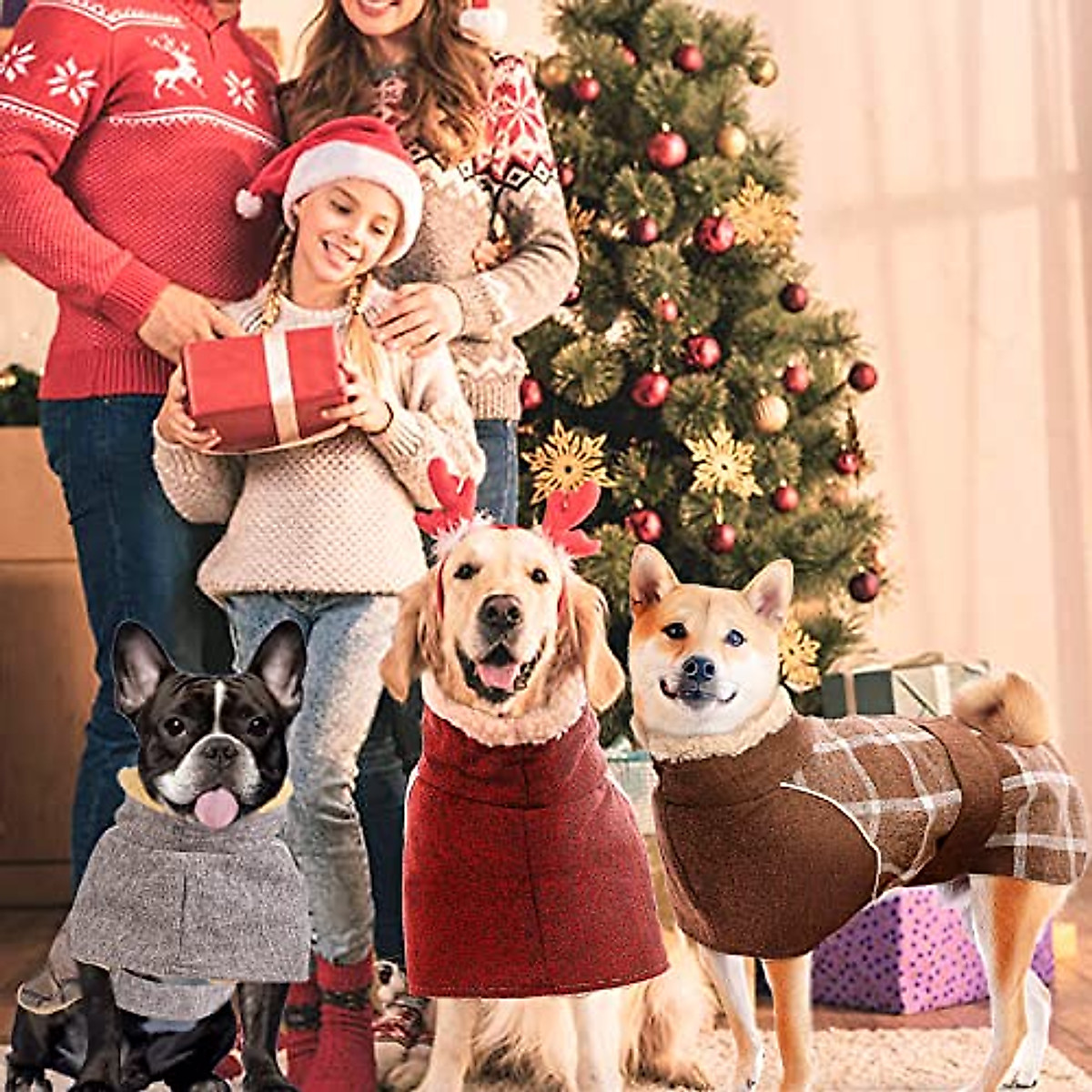 ROZKITCH Dog Coat Winter Jacket Reflective Cold Weather Fleece Coats Vest, Pet Thick Warm Windproof High Collar Clothes Outfits for Small Medium Large Dogs, British Plaid Dog Apparel with Leash Hole