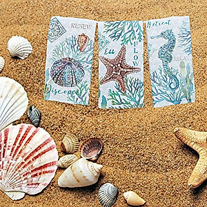 Kay Dee Designs Set of 3 Beachcomber Dual Purpose Terry Kitchen Towels