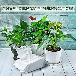 Leopong Plants Cleaning Wipes for Leaf Shine, Clean and Photosynthesis, Leaf Cleaner for House Plants Outdoor Plants (80 Wipes)