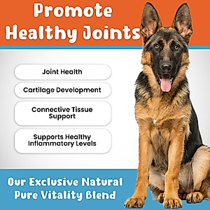 Chews Pawsitive Hip and Joint Supplement for Dogs- Mobility, Hip and Joint Chews for Dogs with Glucosamine, Chondroitin, MSM, Tumeric, Hemp Oil- Soft Chews Joint Support Supplement for Dogs- 120ct