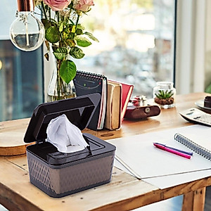 chengyan Wipes Dispenser Case, Dustproof Paper Towel Container Box with Lid and Non-Slip Rubber Feet, Removable Seal-Designed Wipe Holder, Plastic Large Capacity Dust-Proof Baby Wipes Case, Brown