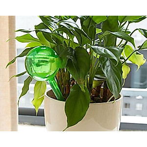 Warmshine 6 Pcs Garden Watering Globes Automatic Watering Globes Plant Self Watering Bulb Waterer Automatic Watering System,13cmx5cm/5.12inchx1.97inch (White&Green)