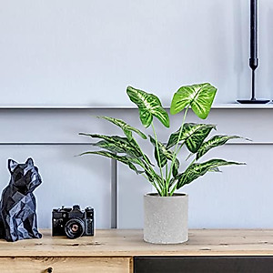 Der Rose 2 Pack Fake Plants Artificial Potted Faux Plants for Office Desk Home Farmhouse Decor