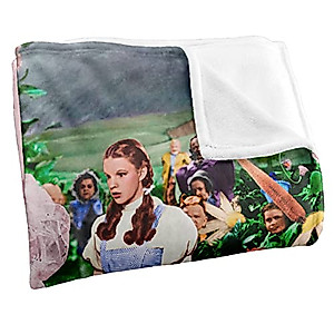 The Wizard of Oz Stanley Desantis Vintage Dorothy and Glinda Silky Touch Super Soft Throw Blanket 36" x 58"