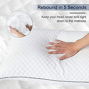 GOHOME Pillows Queen Size 2 Pack, Luxury Queen Size Pillows for Sleeping, Hotel Fluffy Pillow Set of 2, Soft Firm Adjustable Down Alternative Pillows for Side, Back, Stomach Sleepers -20"x30"