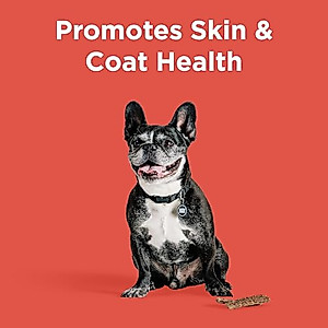 BIXBI Skin & Coat Support Beef Liver Jerky Dog Treats, 5 Oz - USA Made Grain Free Dog Treats - Antioxidant Rich To Support Shiny, Full Bodied Coats - High In Protein, Whole Food Nutrition, No Fillers