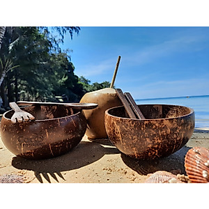 Coco TropEco Coconut Bowl Set of 4 - Handmade Bowls From Natural Coconut Shells + Wooden Spoons + Wood Forks and Bamboo Straws – Buddha Bowls Ideal for Acai Smoothie, Salad or Cereal – Polished –
