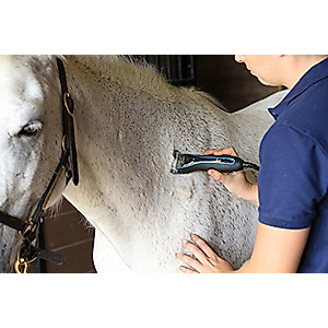 Oster CryogenX Detachable Pet Clipper Blade, Size 10 Wide (078919-446-005)