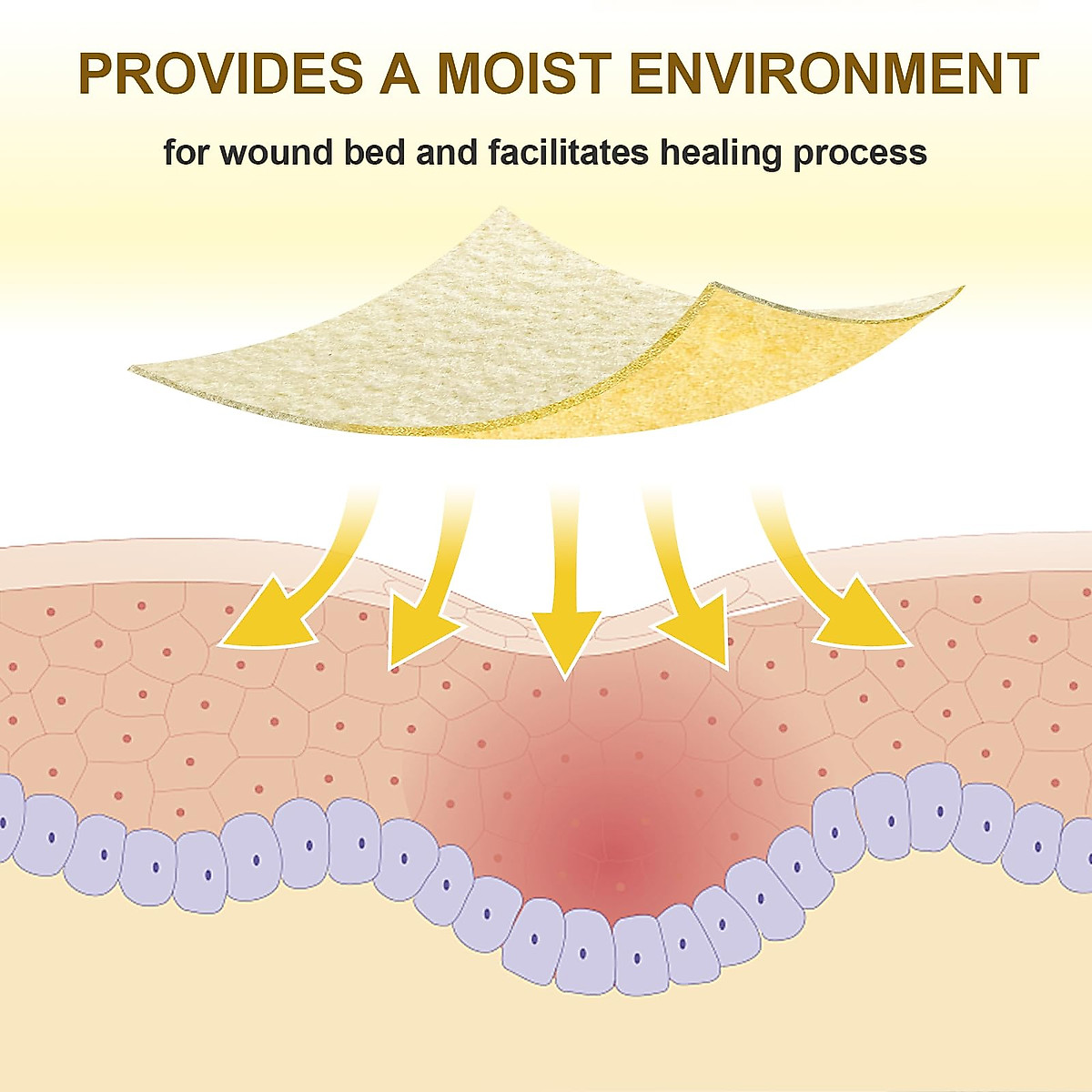 Ceeport Manuka Honey Calcium Alginate Wound Dressing, 2"x 2" High Absorbency Honey Wound Dressing with Calcium Alginate, Medical Grade Manuka Honey Wound Care Bandages Patches for Wounds(Pack of 10)