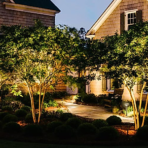 Malibu Celestail LED Pathway Light LED Low Voltage Landscape Lighting Garden Light for Driveway, Yard, Lawn, Pathway, Garden 8406-2104-01