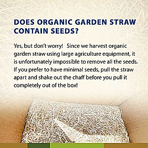 Organic Garden Straw (10lb) | Blue Mountain Hay | Straw Mulch for Raised Bed Gardens, Yard Landscaping, New Lawn Grass Seed Plantings, Tomato & Vegetable Compost & Fertilizer | Covers up to 150 sq ft