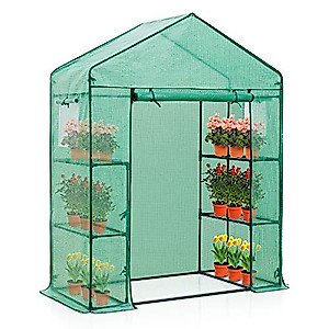 EAGLE PEAK 61'' x 28'' x 79'' Walk-in Greenhouse, 2 Tier 4 Shelves Portable Plant Gardening Greenhouse, Front Roll-Up Zipper Entry Door and 2 Roll-Up Side Windows, Green