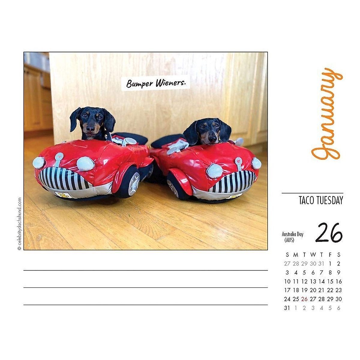 Crusoe the Celebrity Dachshund 2021 Box Calendar (Dog Breed Calendar)