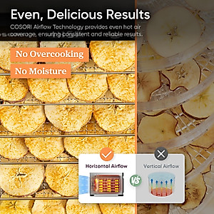 COSORI Food Dehydrator (50 Recipes) for Jerky, Vegetables Fruit, Meat, Dog Treats, Herbs, and Yogurt, Dryer Machine with Temperature Control, 6 Stainless Steel Trays, Rear-Mounted Fan, Silver