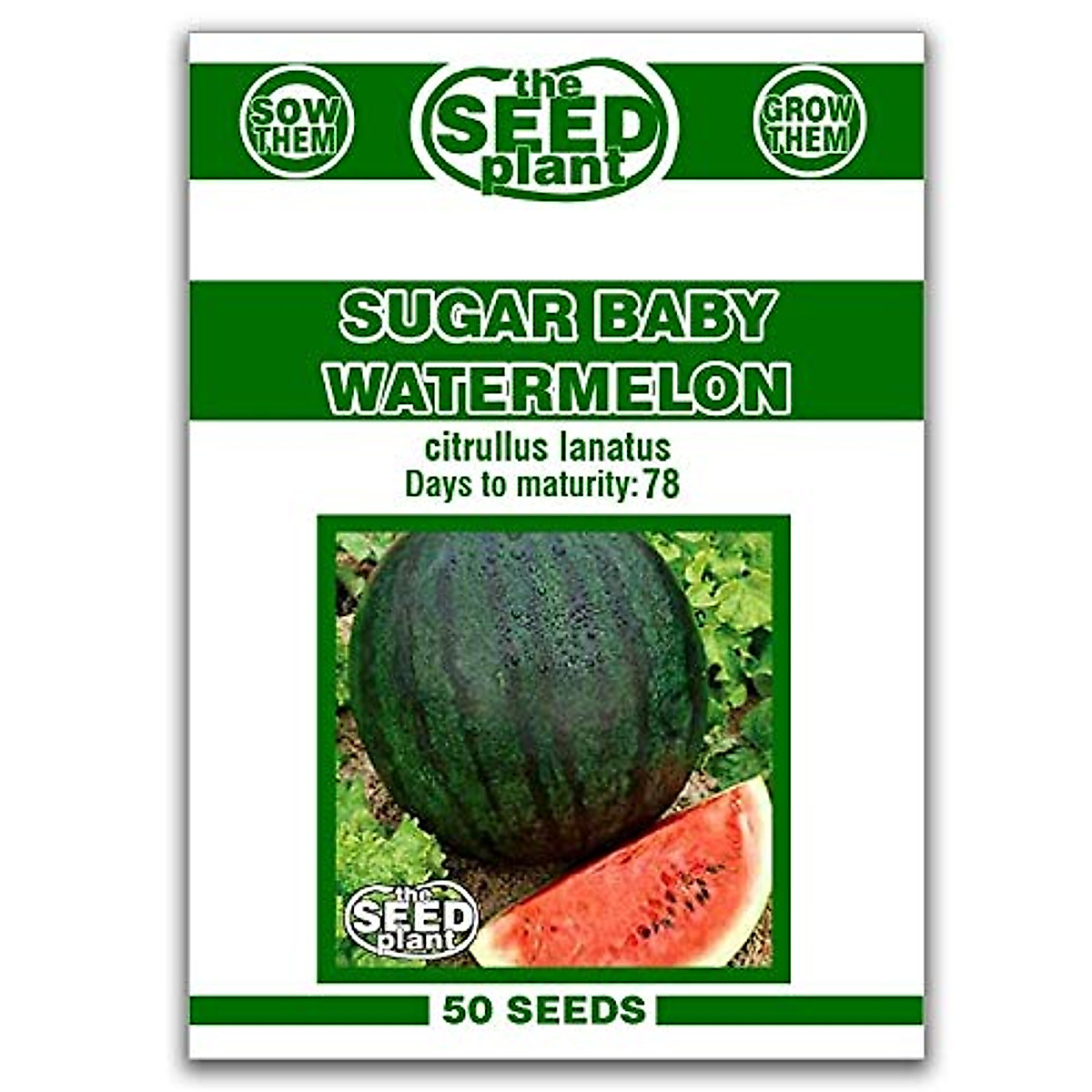 Sugar Baby Watermelon Seeds - 50 Seeds Non-GMO