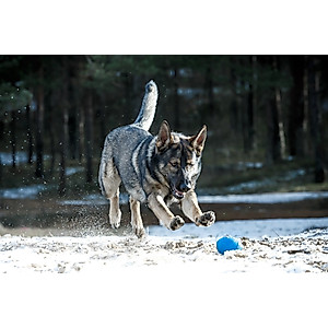 PlayfulSpirit Tricky Treat Rugby Ball: Dog Treat Dispenser - Awesome Anxiety Reliever and Boredom Breaker, Fun Fetch and Basic Puppy Training Toy (Large, Blue)