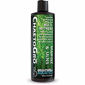 Brightwell Aquatics Chaeto GRO - Multi-Nutrient Supplement for Chaetomorpha Growth in All Marine Aquariums, 500 ML