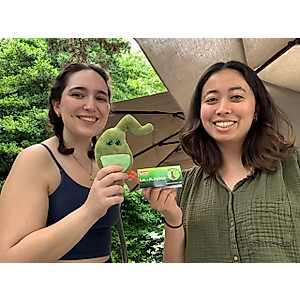 GIANTmicrobes Gallbladder Plush, Gallbladder Stuffed Animal, Gallbladder Surgery Gifts, Gallbladder Plush Toy, Gallbladder Removal Gift, Gastroenterology Gifts, Gastroenterologist Gifts, Get Well Gift