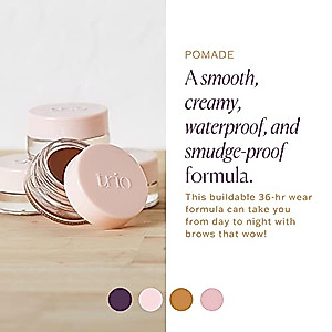 Trio Beauty Original Brow Stencil Kit with 12 Stencils | 15-pc Eyebrow Stamp Stencil Kit with Fully Waterproof Eyebrow Pomade and Dual Ended Sponge Brush | Soft Brown