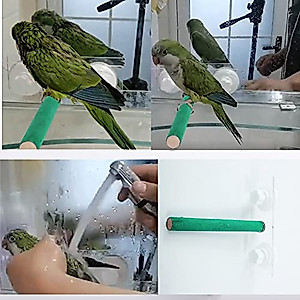 Bird Shower Perch Stand Parrot Frosted Surface Bath Perch with Suction Cup for Home Outdoor Window Glass Birdcage Parakeet Cockatiel
