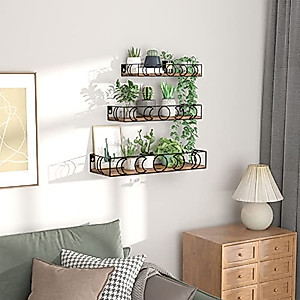 PHAREGE Moon Phase Floating Shelves Wall Mounted Set of 3, Small Book Shelf for Wall Decor Storage, Rustic Wall Shelves for Bedroom Bathroom Living Room