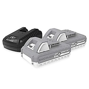 Snow Joe 24V-2AMP-SK2 Includes 2 x 2.0-Ah Lithium iON Battery + Single Port Rapid Charger, (2) 2.0, White