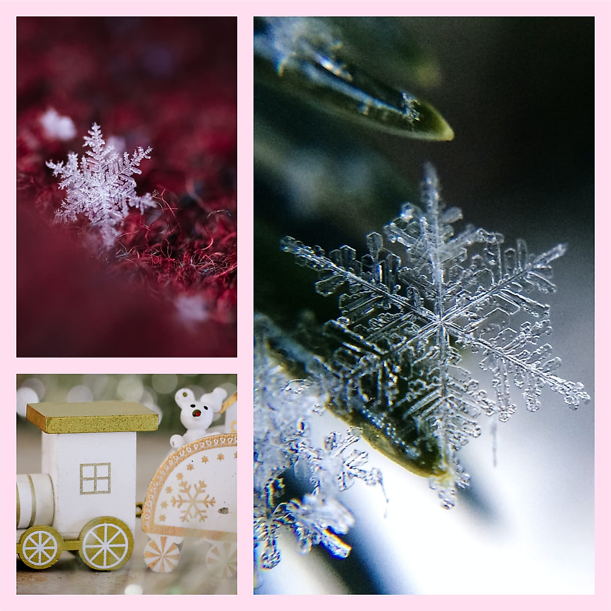 Morex Ribbon 7405.60/50-004 Snowflake 2.5" X 50 YD Nylon Sheer Wired Glitter Ribbon, Ivory/Gold, Ribbon Art Supplies for Christmas Decorations, Indoor Christmas Ribbon for Gift Wrapping Art Set