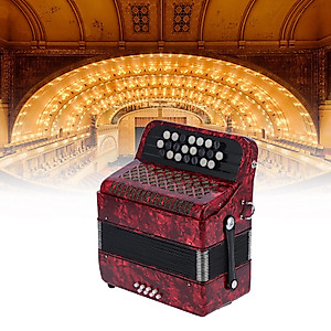 Xiuganpo Kids Accordion, Professional Accordian Keyboard Instruments 22 Key 8 Bass Piano Accordion for Music Lovers Educational Musical Instrument for Students, Beginner Accordion(#1)