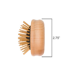 Redecker Pop-up Hairbrush, Oiled Beechwood with Straight Hornbeam Pins, Compact Brush for Purse, Pocket, and Travel, 2-3/4 Inches