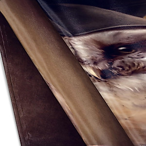 Scholar Owl Bird Satin Pillow Cases Silk Satin Pillowcase for Hair and Skin Standard Set of 2 Super Soft Silk Pillowcase with Envelope Closure (20x26 in)