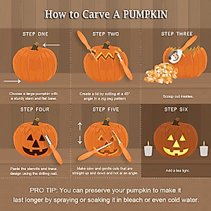 Upgraded 18 PCS Pumpkin Carving Kit Halloween Professional Heavy Duty Punkin Carver Knives and Tools with Carrying Case for Adults & Kids with Professional Sculpting Set