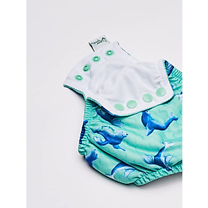 i Play Boys Reusable Absorbent Baby Swim Diapers Seafoam Sea Lions 24 Months