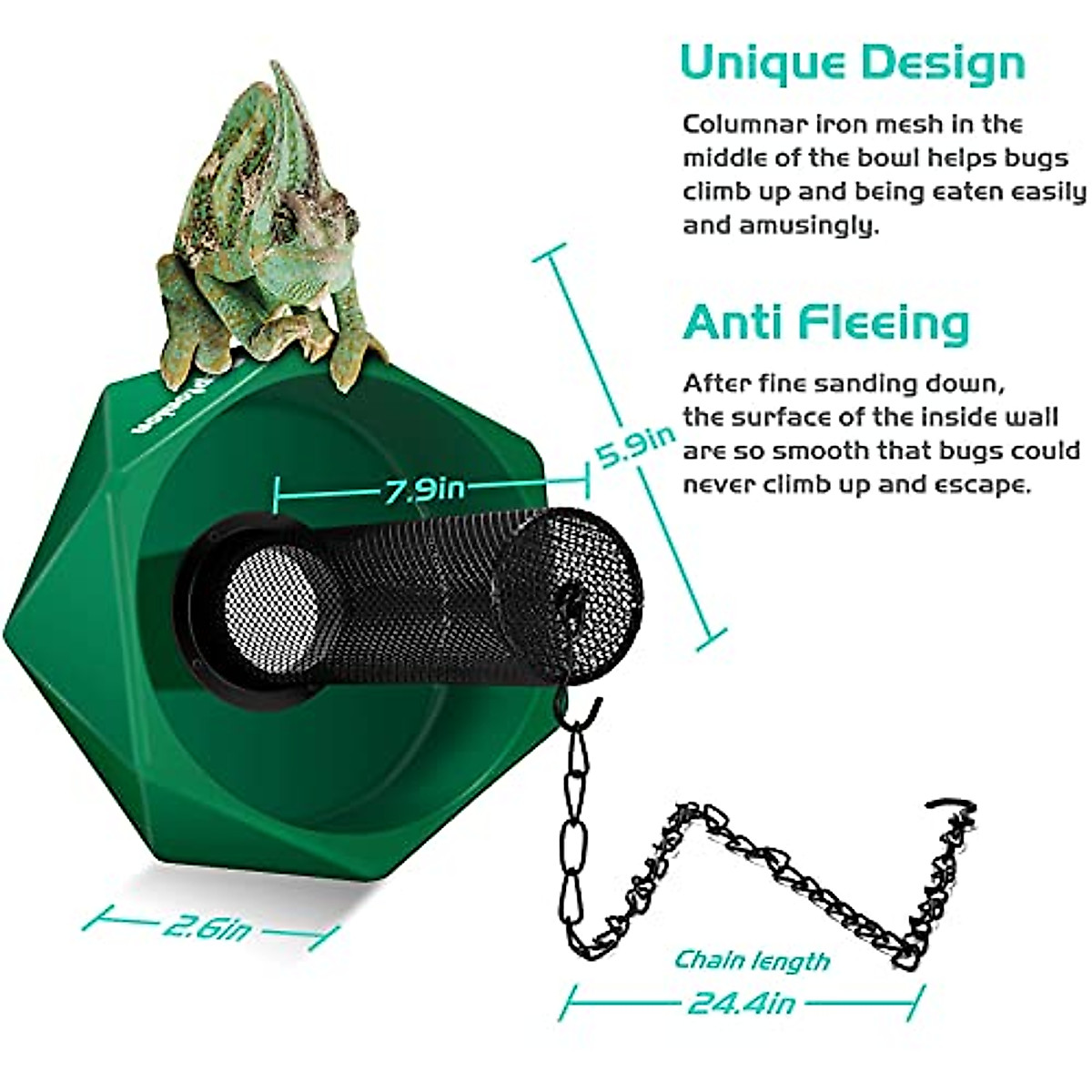 NEPTONION Chameleon Feeding Kit, Come with a Hookable Feeding Bowl and a Reptile Water Feeder, Perfect for Leaving Your pet Whilst on Vacation