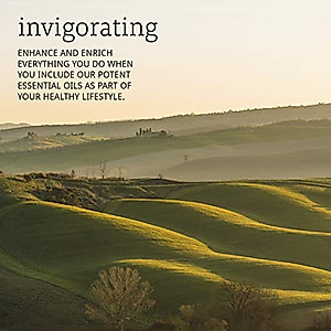 NOW Essential Oils, Oil of Oregano, 25% Blend of Pure Oregano Oil in Pure Olive Oil, Comforting Aromatherapy Scent, Steam Distilled, Vegan, Child Resistant Cap, 1-Ounce