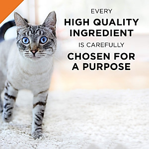 Purina Pro Plan Gravy Wet Cat Food, Complete Essentials Seafood Stew Entree in Sauce - (24) 3 oz. Pull-Top Cans