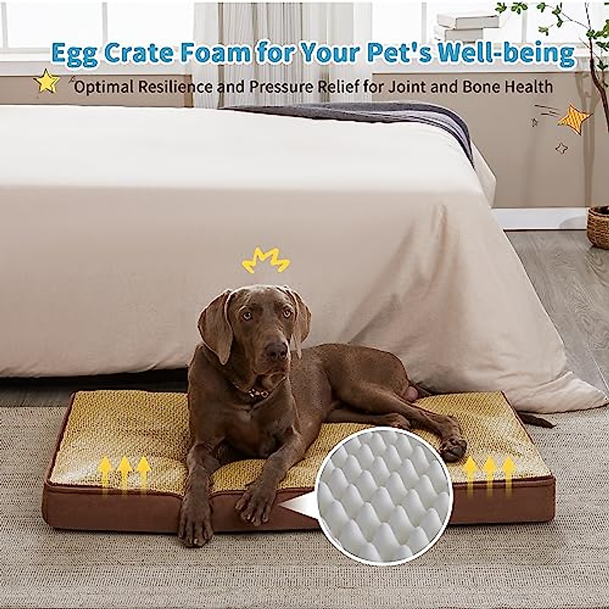 Made4Pets Dog Beds for Medium Dogs, Egg Memory Foam Large Dog Bed with Removable Cover, Pet Bed Mattress for Large Cats, Washable Plush and Cool Cover, 34 x 25 Brown