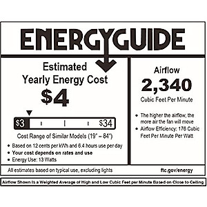 Matthews IR3H-WH-MWH-42 Irene Indoor/Outdoor Damp Rated 42" Flush Mount Ceiling Fan with Remote & Wall Control, 3 Matte White Solid Wood Blades, Gloss White