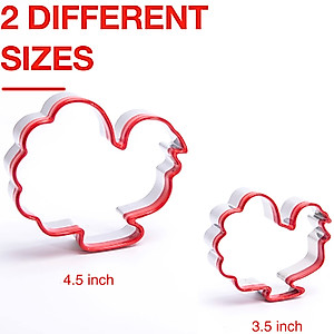 COOKIEQUE 2Pcs Turkey Cookie Cutters 4.5" 3.5", Food-Grade Stainless Steel Fall Thanksgiving Cookie Cutter Set, Biscuit Cutter Set, Holiday Cookie Cutters, Unique Design with Protective Red Top PVC