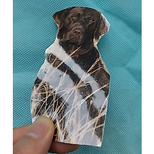 20-Pack Clear Self-Adhesive Laminating Plastic Paper, 4x6 Inches