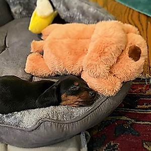 Original Snuggle Puppy Junior - Heartbeat Behavioral Aid Puppy Toy – Puppy Heartbeat Toy Sleep Aid (Biscuit)