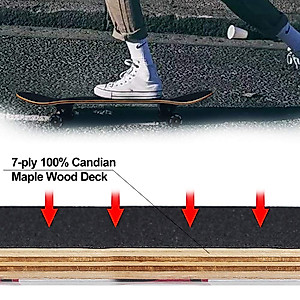 NPET Pro Skateboard Complete 31 Inch 7 Layer Canadian Maple Double Kick Concave Deck Skating Skateboard (Lightning)