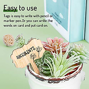 Whaline 60Pcs Bamboo Plant Labels with 1 Marker Pen Eco-Friendly T-Type Wooden Plant Sign Tags Wood Garden Markers Decorative Garden Tags for Seed Potted Herbs Flowers Vegetables (6.5 X 10 cm)