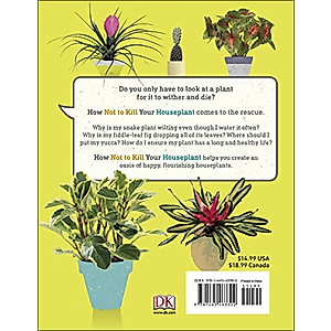 How Not to Kill Your Houseplant: Survival Tips for the Horticulturally Challenged