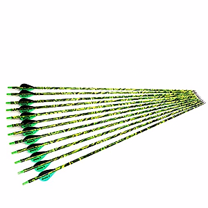 ACCMOS Spine 500 Arrow 26 Inch Arrow Target Practice Arrow Hunting Arrow Carbon Arrows Compound Bow Recurve Bow Adult Youth Archery Indoor Outdoor Shooting Field Tip 12pc