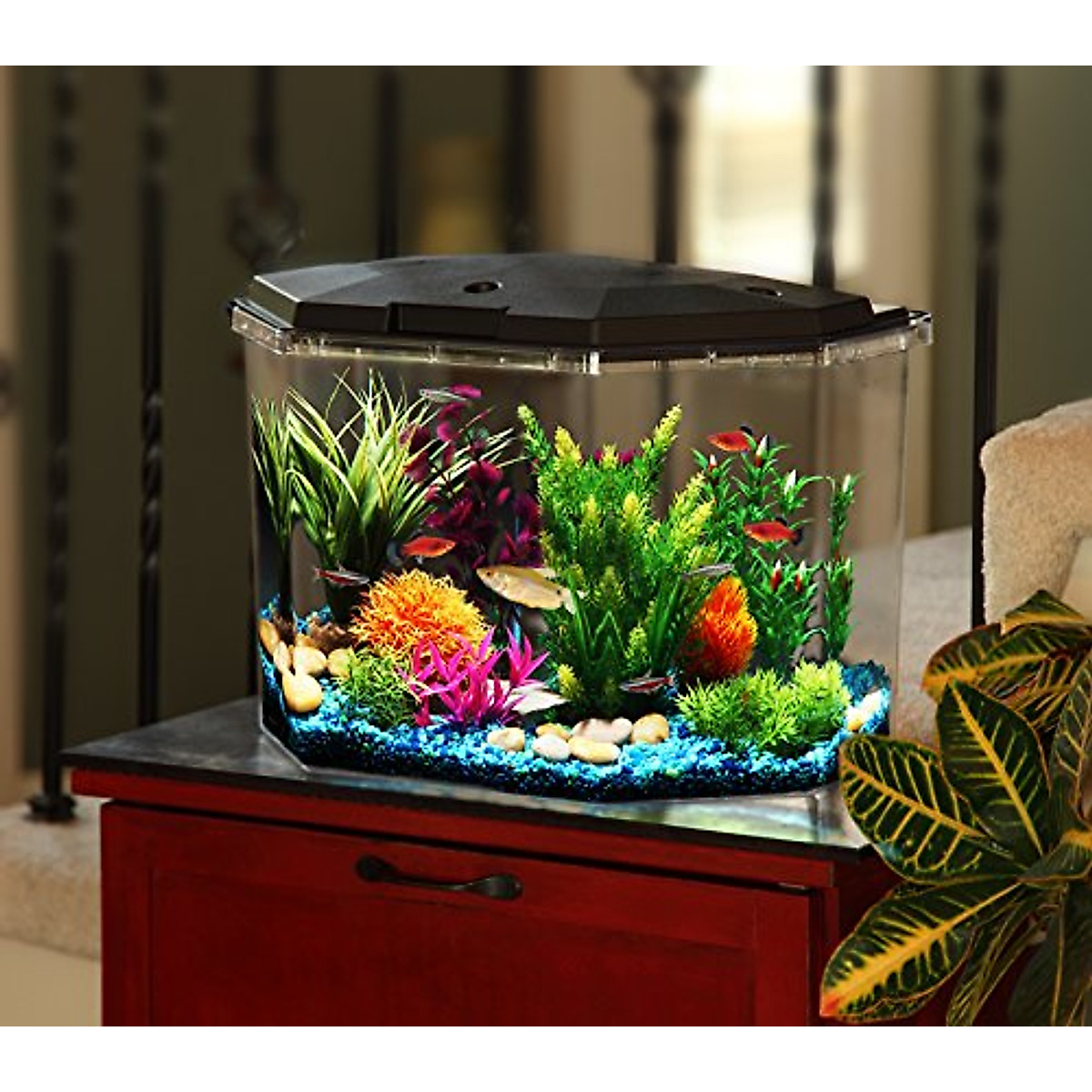 Koller Products 6.5-Gallon Aquarium Kit with Power Filter and LED Lighting, (AP650)