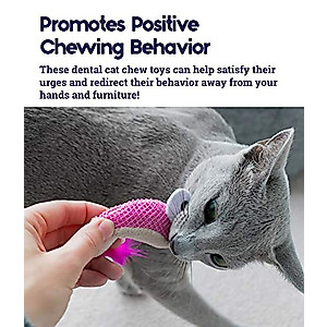 Petstages Dental Shrimpies Catnip Cat Chew Toy - 2 Pack