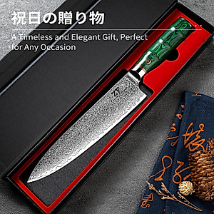 ZF 8 Inch Damascus Kitchen Chef Knife Professional Japanese VG10 Super Steel 67 Layers Santoku Knife Cooking Knife Utility Knife for Meat Vegetable Fruit (YE008)