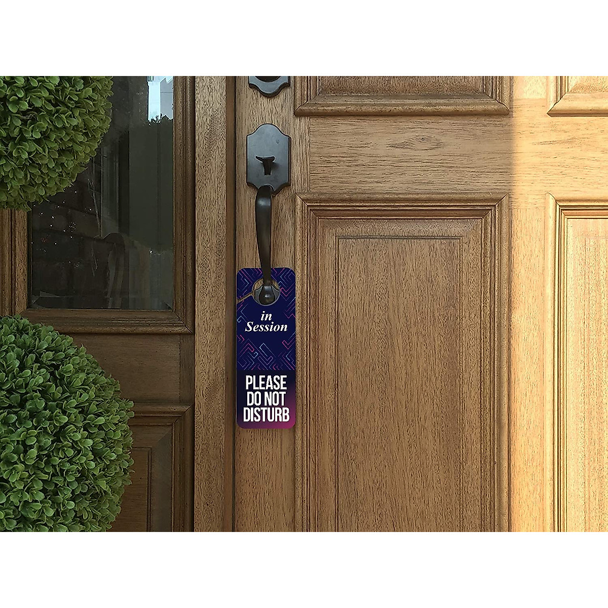 Baby Marley | in Session Door Hanger | Do Not Disturb Sign