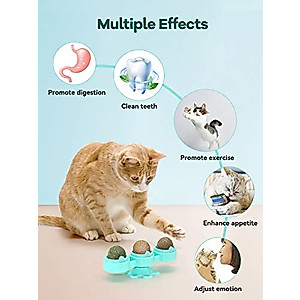 Petslucent Catnip Ball for Cats Wall, 3in1 Cat Toys Wall Ball Mint Balls Lick Roller, Cat Nip Silvervine Edible Kitty Safe Healthy Kitten Teeth Cleaning Dental Cat Toy Chew Toys Indoor